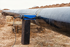 Computer Radiography & Digital Radiography (CRDR) | Amerapex